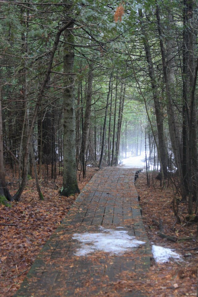 Trails From North Country – Exploring trails in north-west Lower Michigan